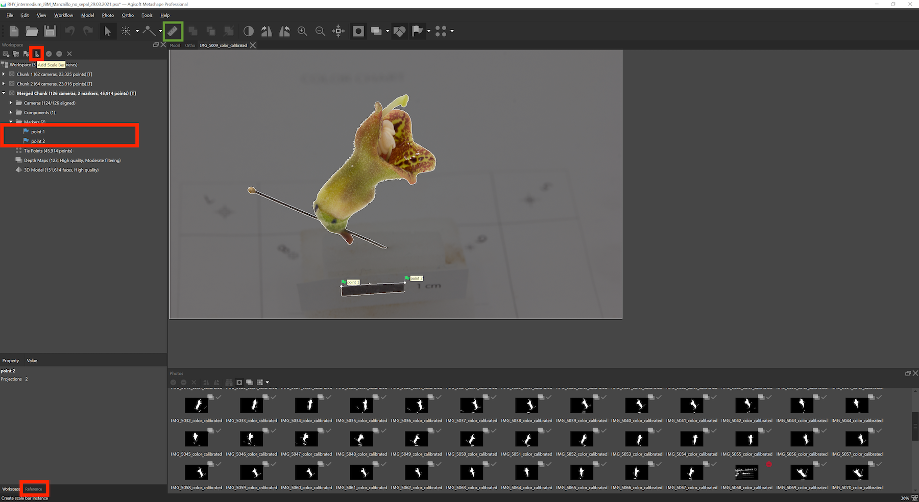 6 3D model reconstruction in Agisoft Metashape | Flower photogrammetry and 3D modeling protocol